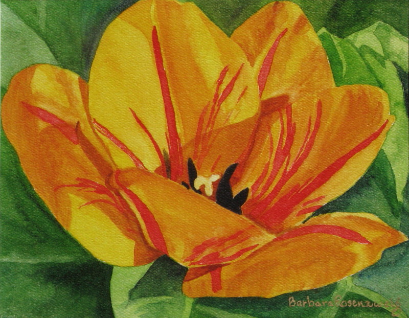 Artist Barbara Rosenzweig's Blog: Art, Gardening, Photography, and ...