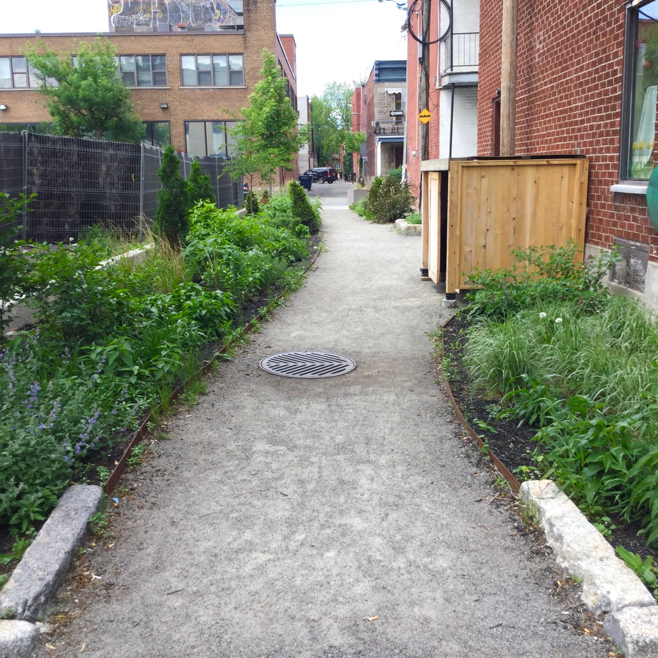 Flora Urbana: Pour de meilleures ruelles vertes