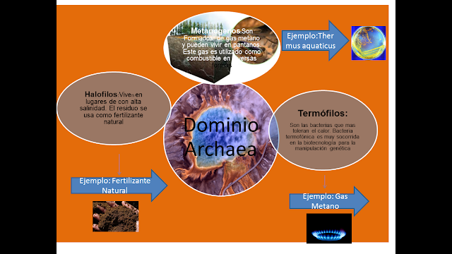 La Biología de mi mundo : Dominio Archaea