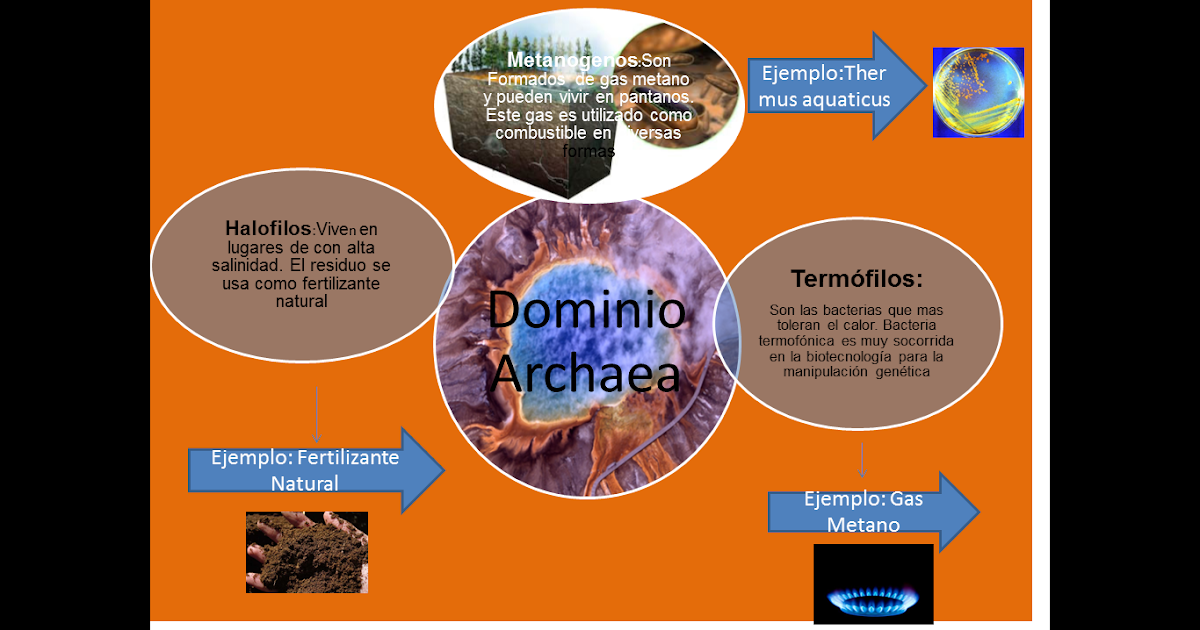La Biología de mi mundo : Dominio Archaea