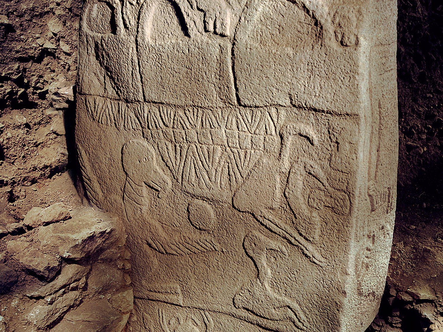 Scientists have found evidence of a mysterious 'skull cult' in an ...