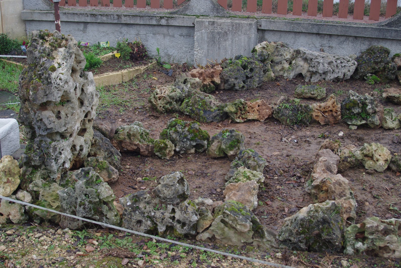 X - Le Jardin de Lili : Nouvelle rocaille