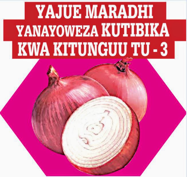 FAIDA ZA TIBA ZIPATIKANAZO KWA KUTUMIA KITUNGUU MAJI (ONION) ~ Mzizi Mkavu