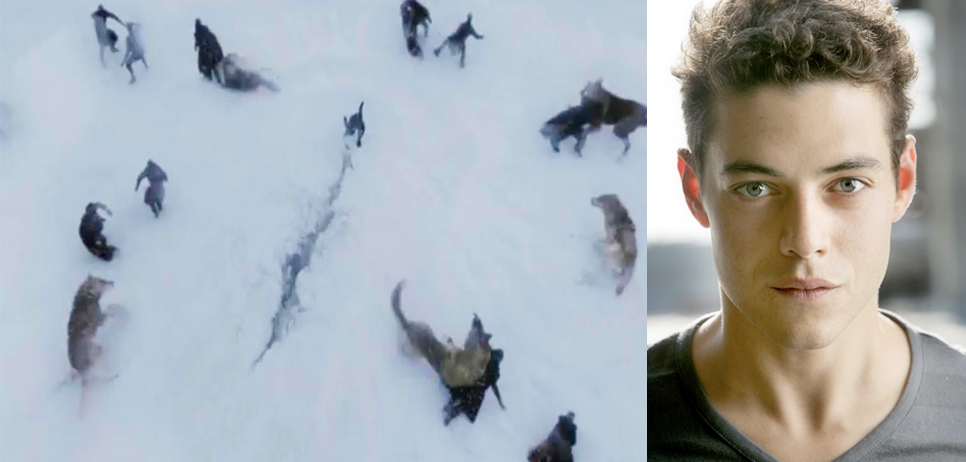 Twilight Saga: Breaking Dawn (2012) - Cristian's Blog