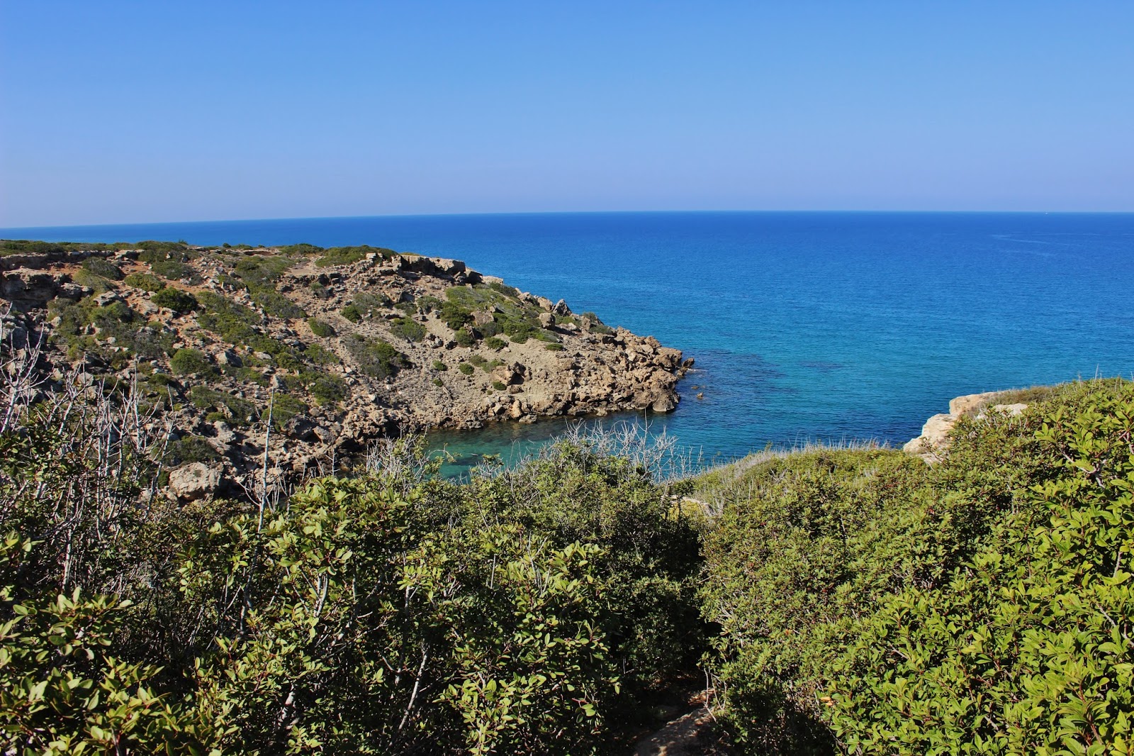 Biodiversity of Cyprus by NGO Protection of the Natural Heritage and ...