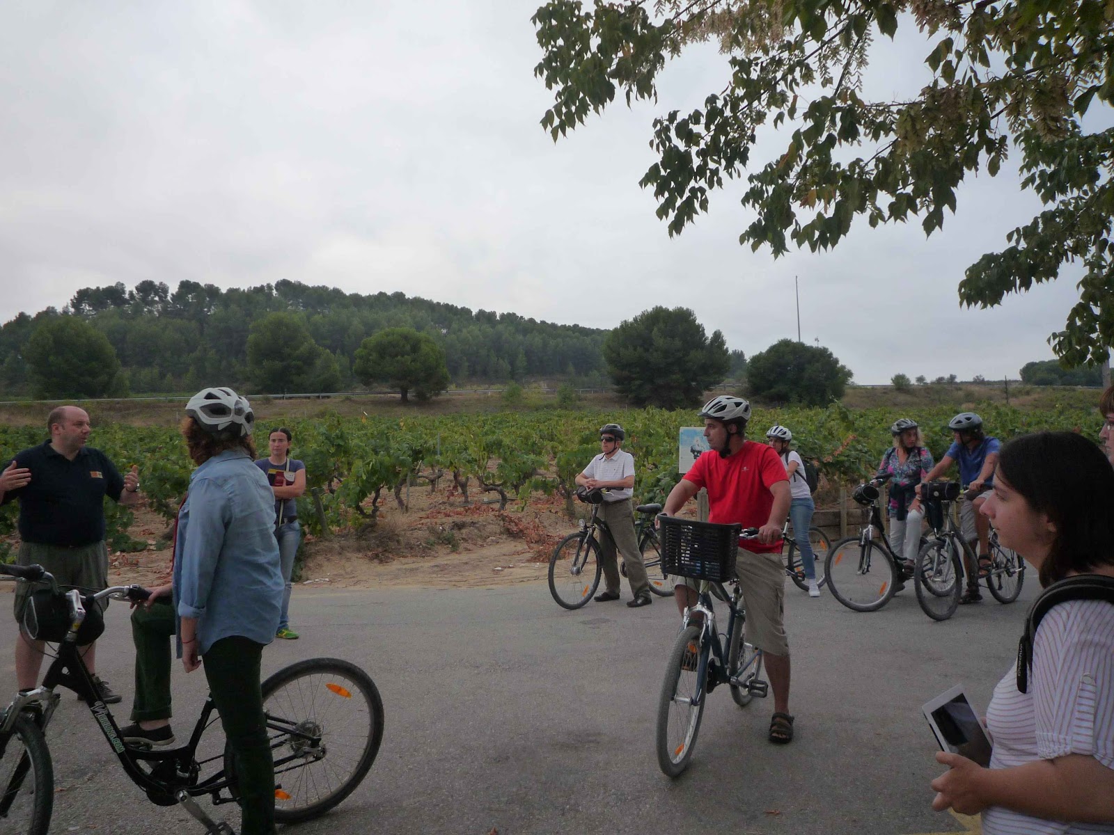 Mis Restaurantes: SUBIRATS & Restaurant Cal Xim