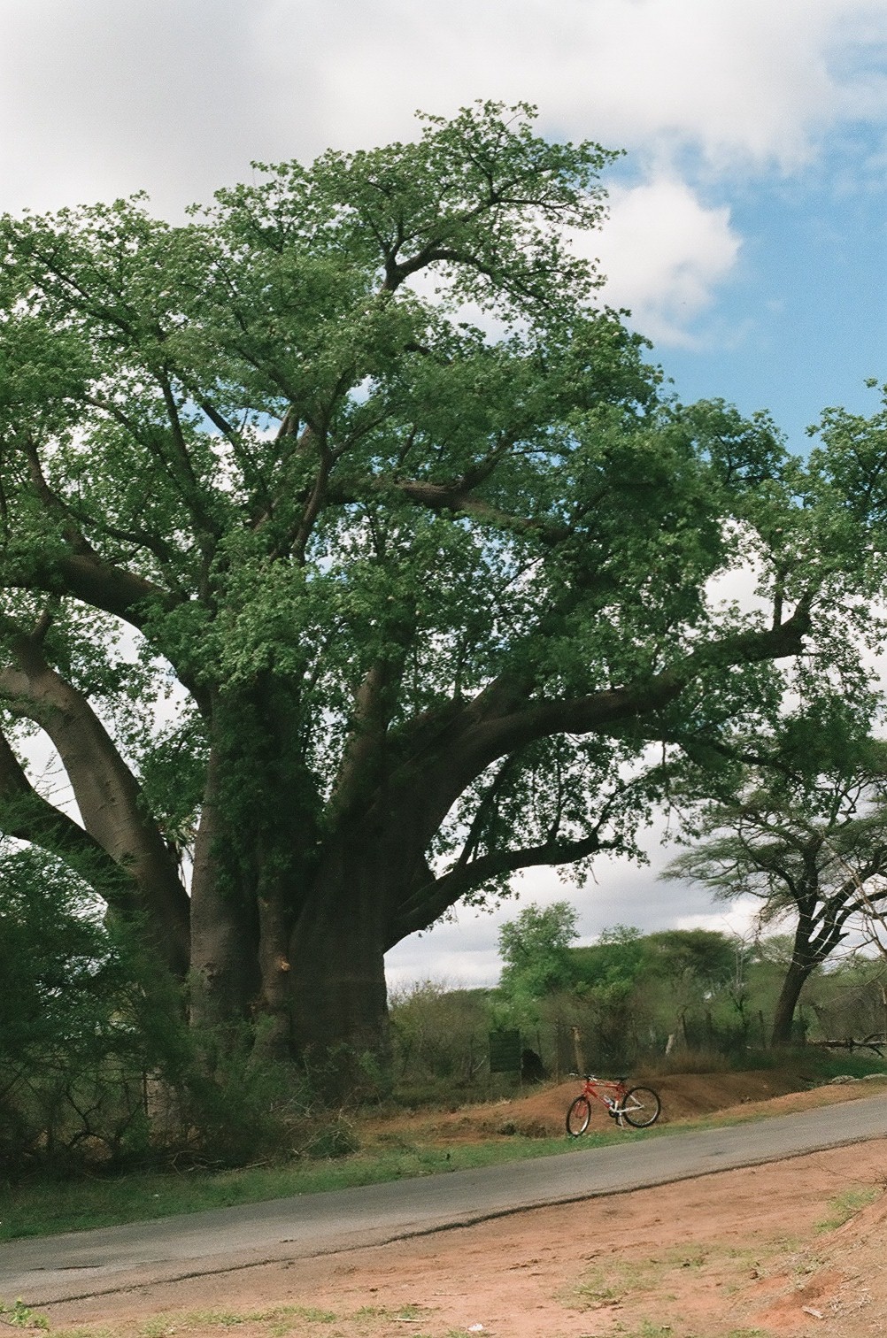 Zithulele to Zambia: Long weekend at the Victoria Falls