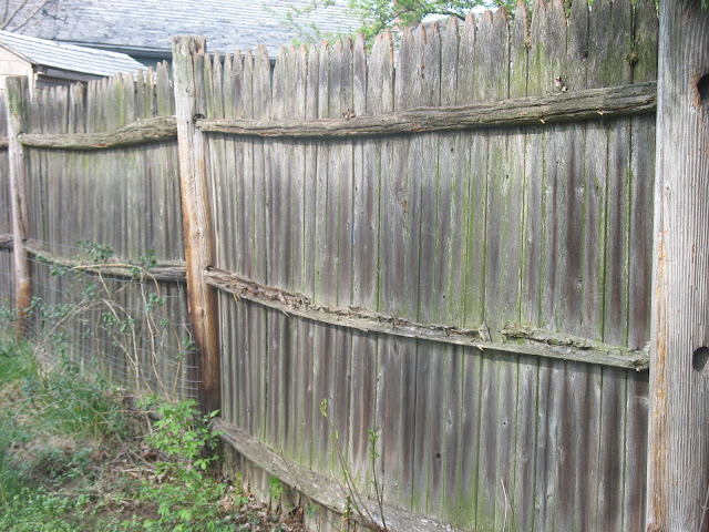 Pawnticket: A Real Spite Fence!