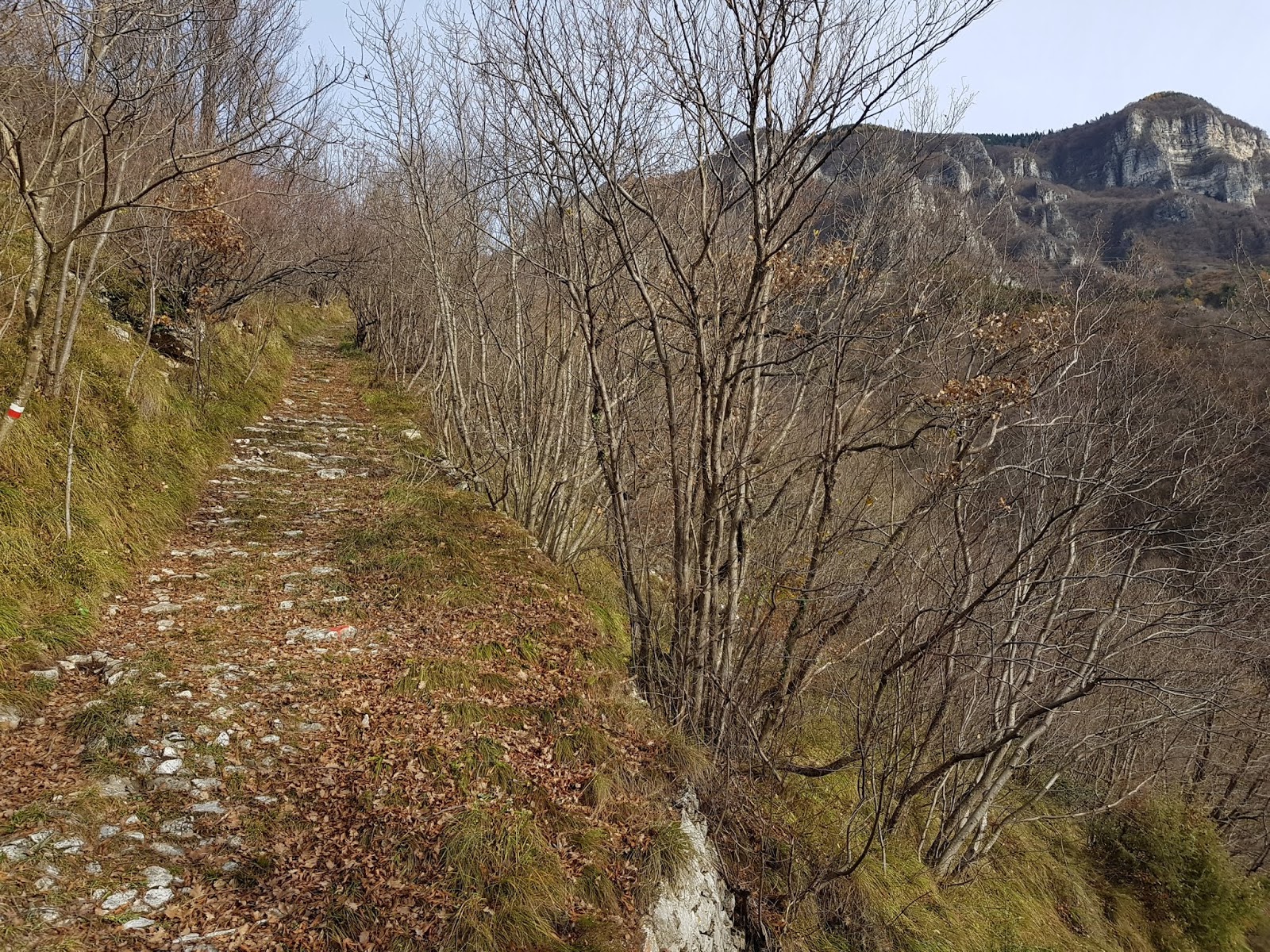 Su strade e sentieri: COL MOSCHIN (m. 1.279) - Massiccio del Grappa