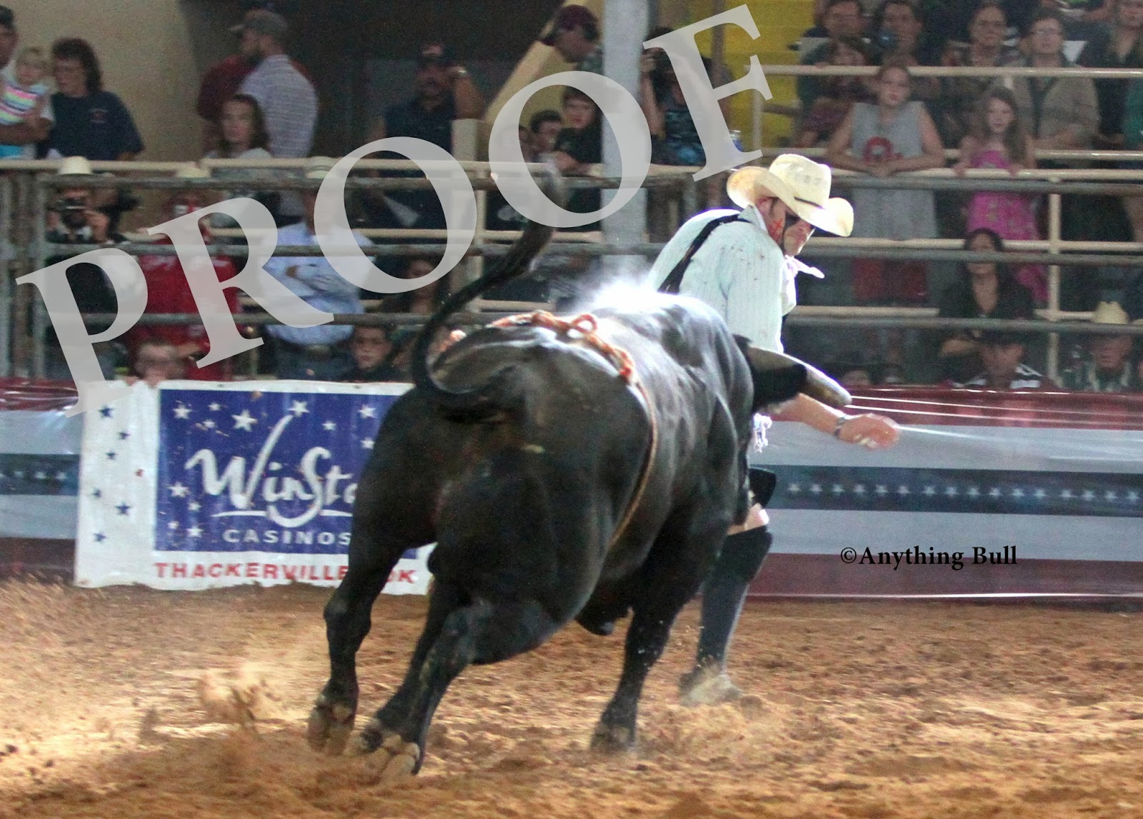 Anything Bull or Rusty: Saturday Round 4 - Clint Hopping