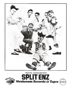 New Zealand Musiceum: Split Enz