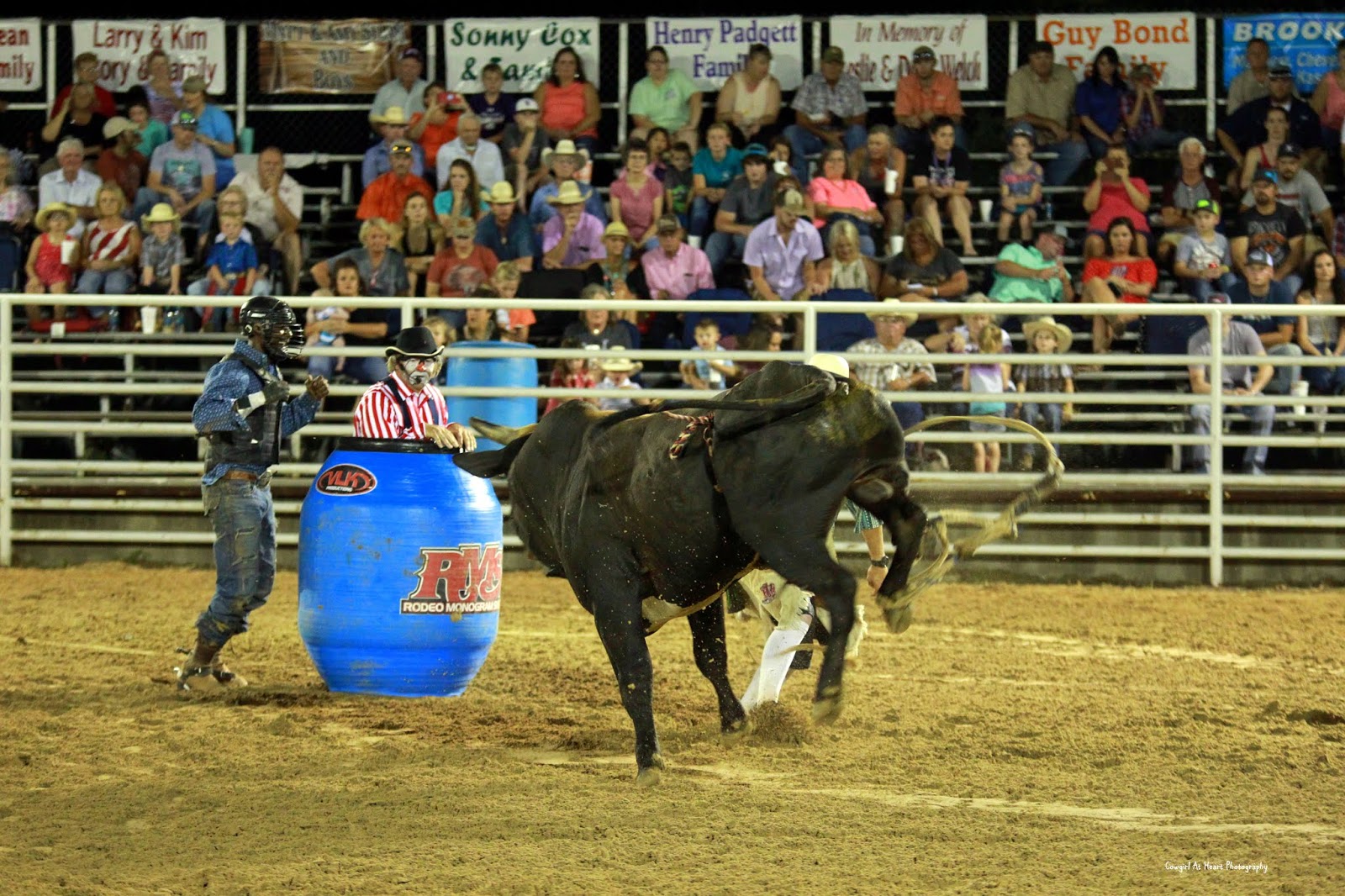 Bull Riding Poems