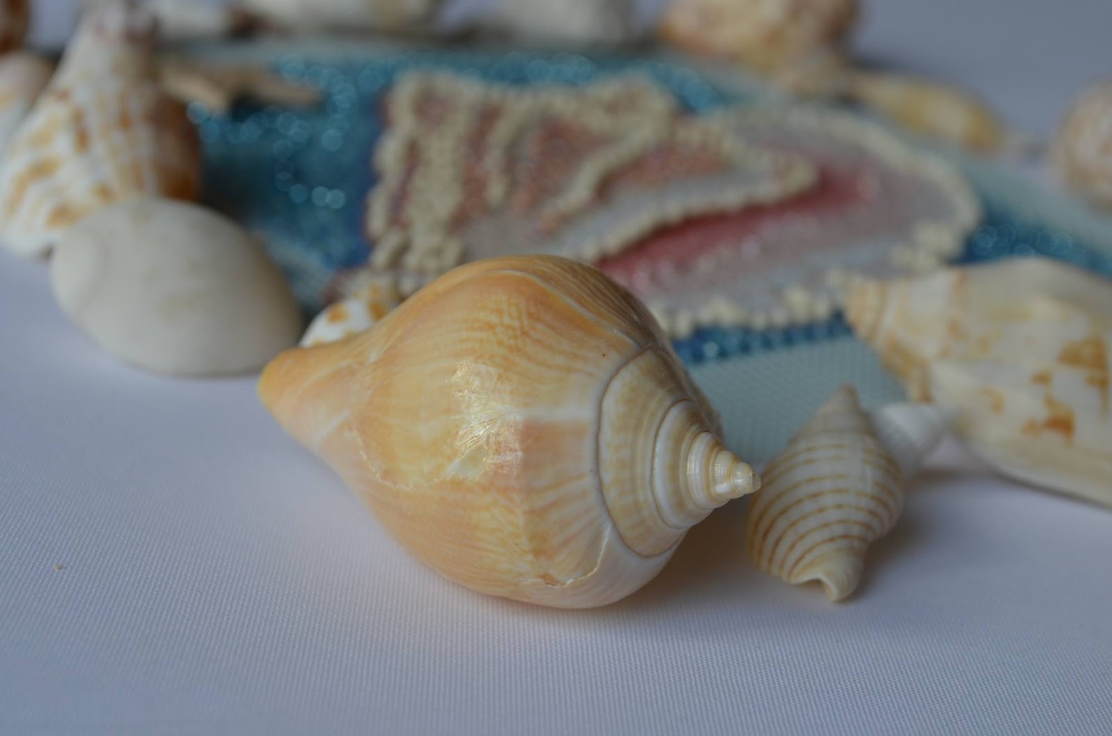 Гнездо Норной Совы: Mill Hill - Conch Shell