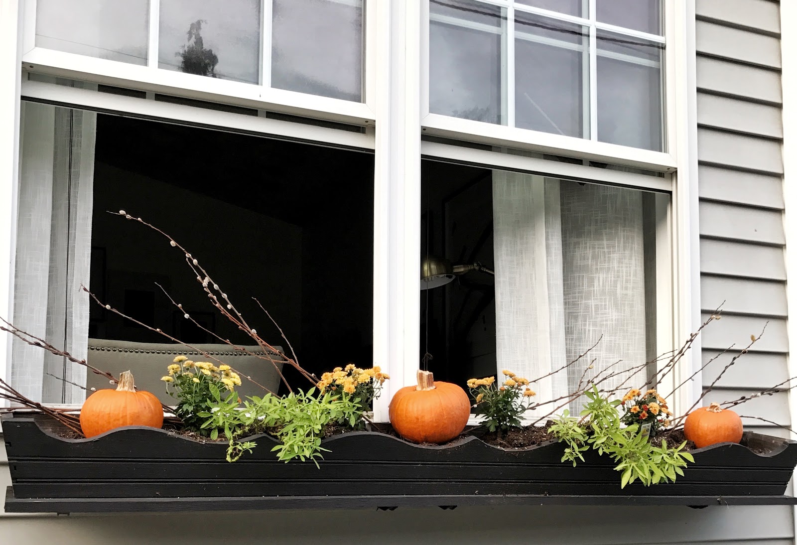 Fall Curb Appeal: How to fill a Window Box for under $20 - Made by Carli