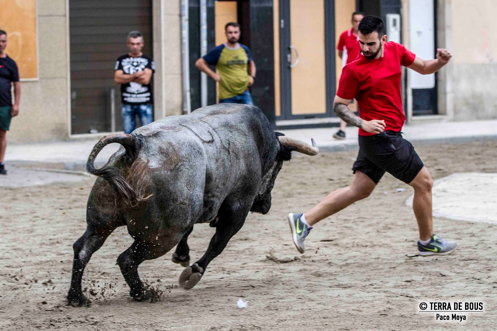 ¡QUE ALEGRÍA VER EMBESTIR UN PARTIDO DE RESINA!