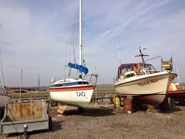 Bill's Log: Newbridge Navigator Junk Rigged Yacht