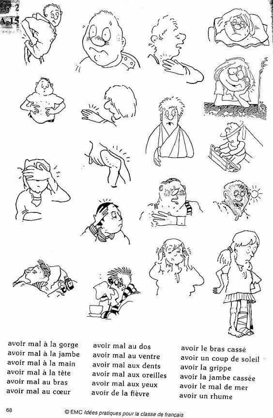 Zoom Français: Les parties du corps