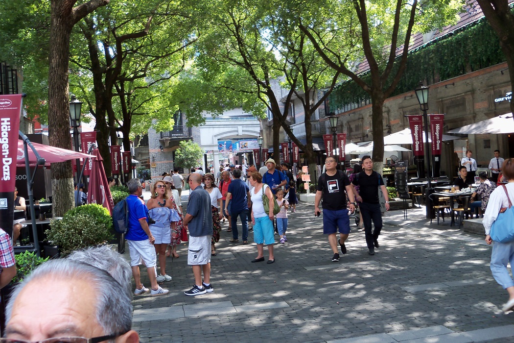 Travel Wolfe: The French Concession Area