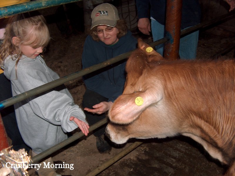 Cranberry Morning: Last Chance Dairy