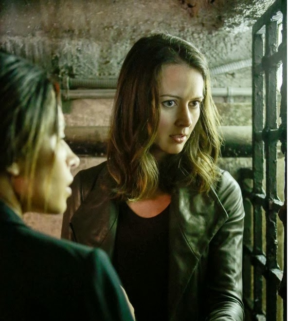 Librarian D.O.A.: Person of Interest: Mors Praematura