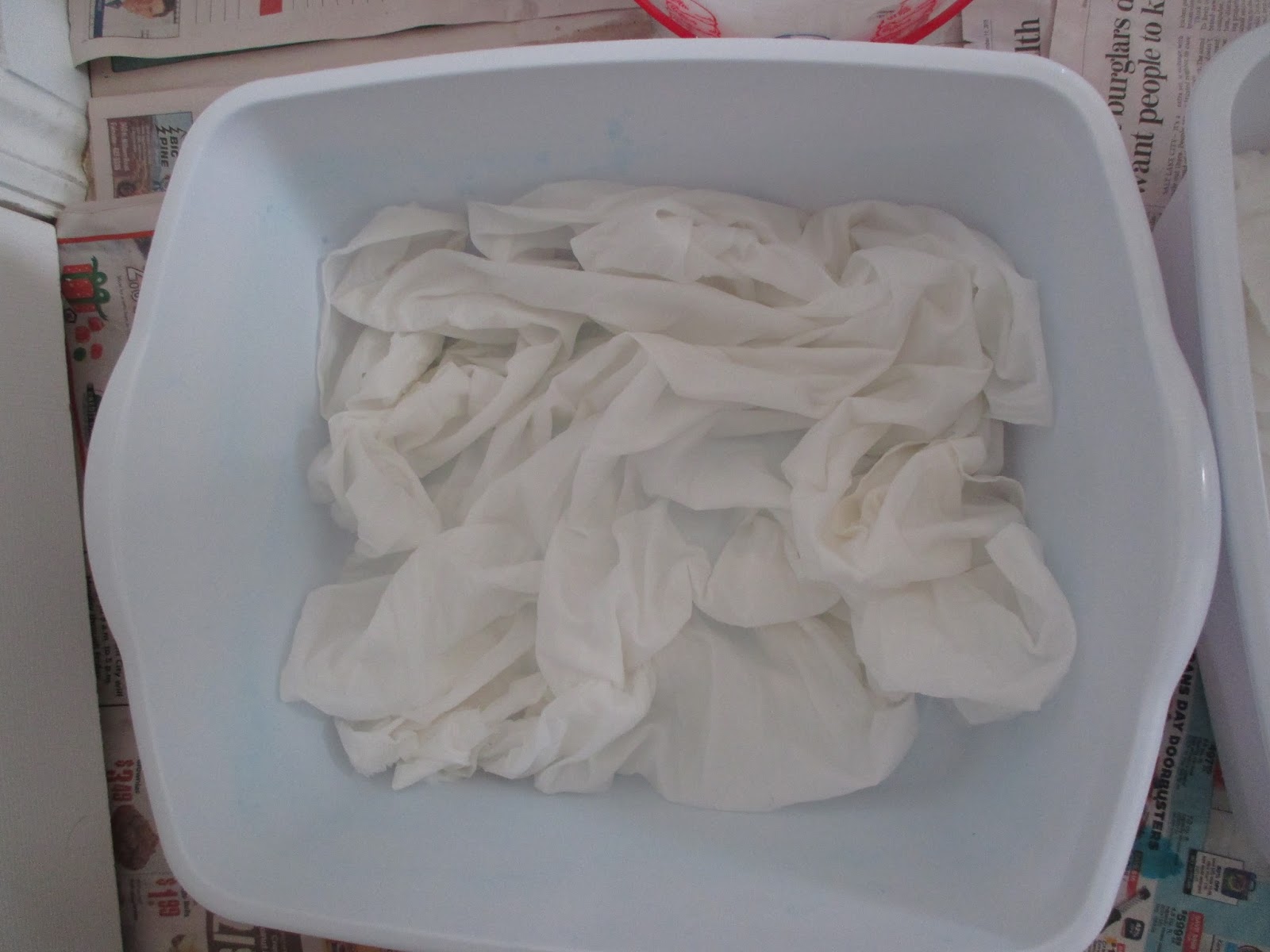 Bunchberry Studio: Snow Dyeing