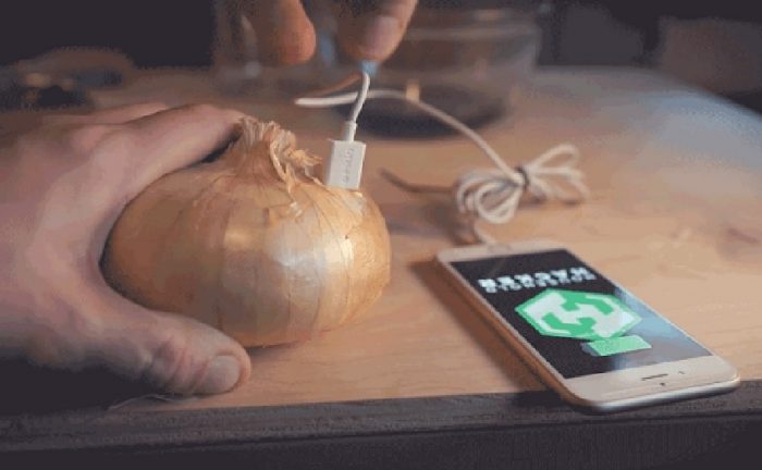 Is it True that You Can Charge Your Phone by an Onion??