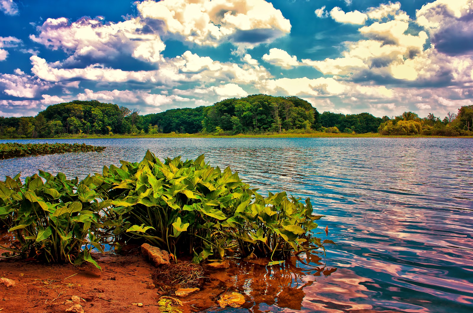 One Poet's Notes: Photo Friday: "Lake View from Boat Launch"