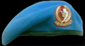 Dunia Militer Etc: Jenis baret TNI AD