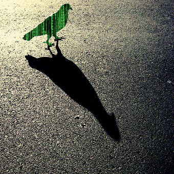 PMDb - The Pigeon Movie Database: Matrix: are there pigeons in Matrix?