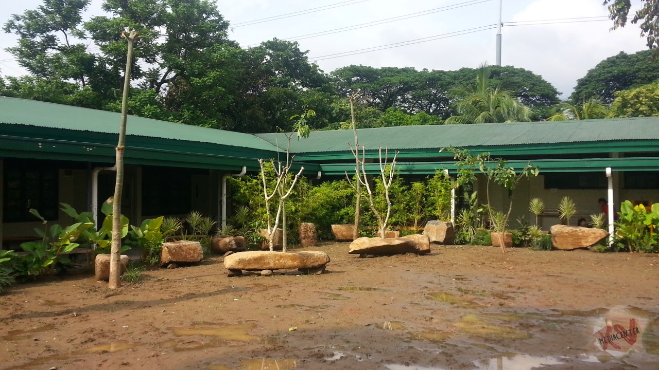 UPIS alumnus supervises 7-12 Quad landscaping | Ang Aninag Online