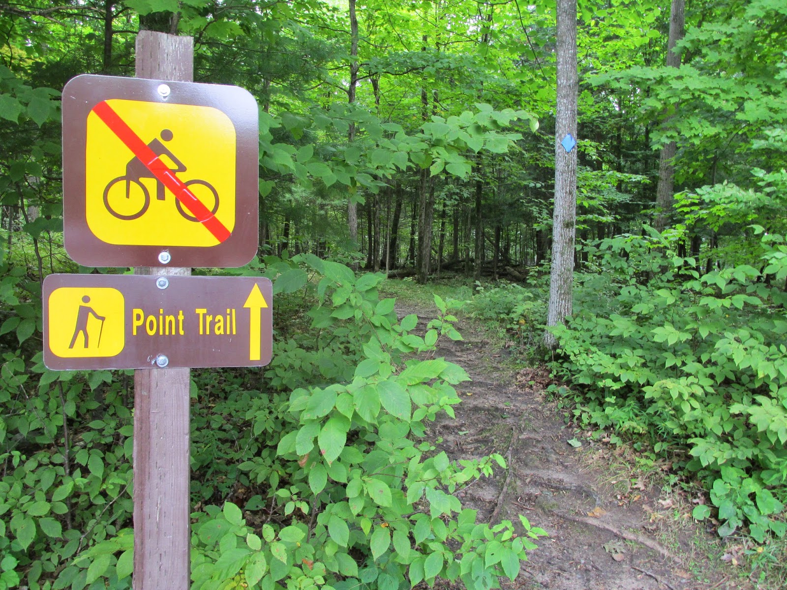 The Passionate Hiker: The Point Trail