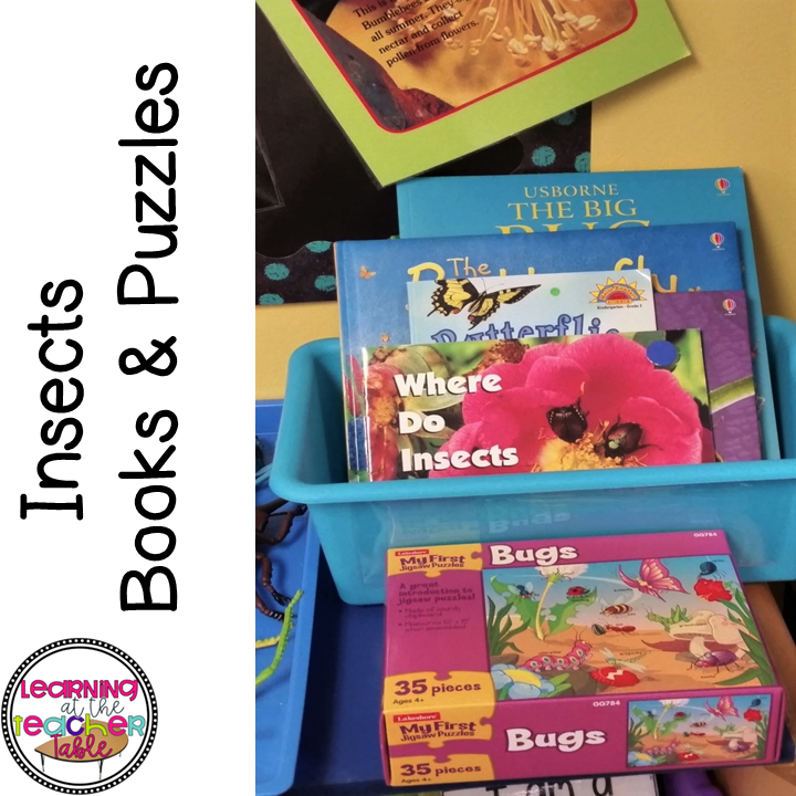 Learning at the Teacher Table: Insects Science Center