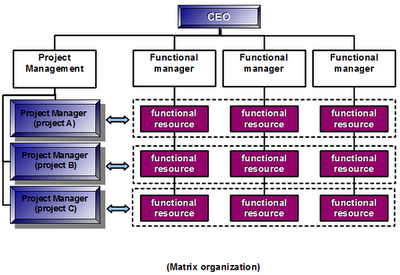 Organizational structures |The Project Manager Pad