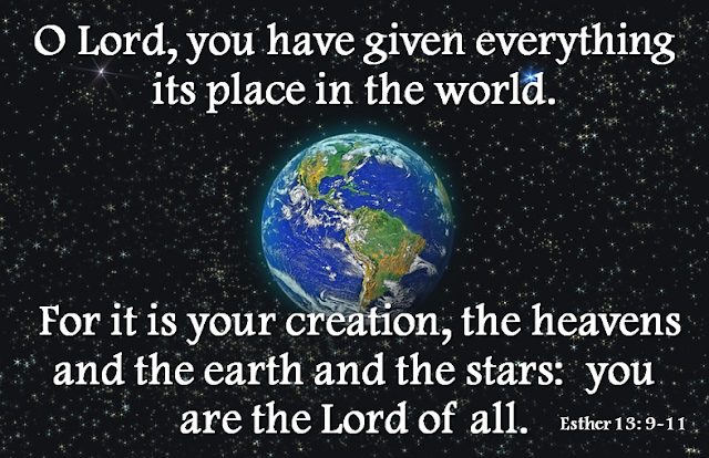 LiturgyTools.net: Pictures for the 27th Sunday in Ordinary Time, Year C