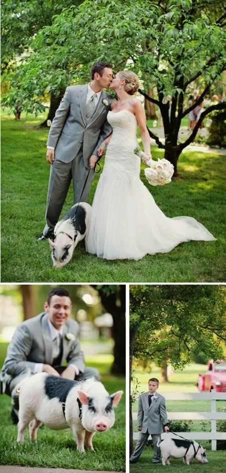 Behind the Dreams of Day: Unique Weddings?