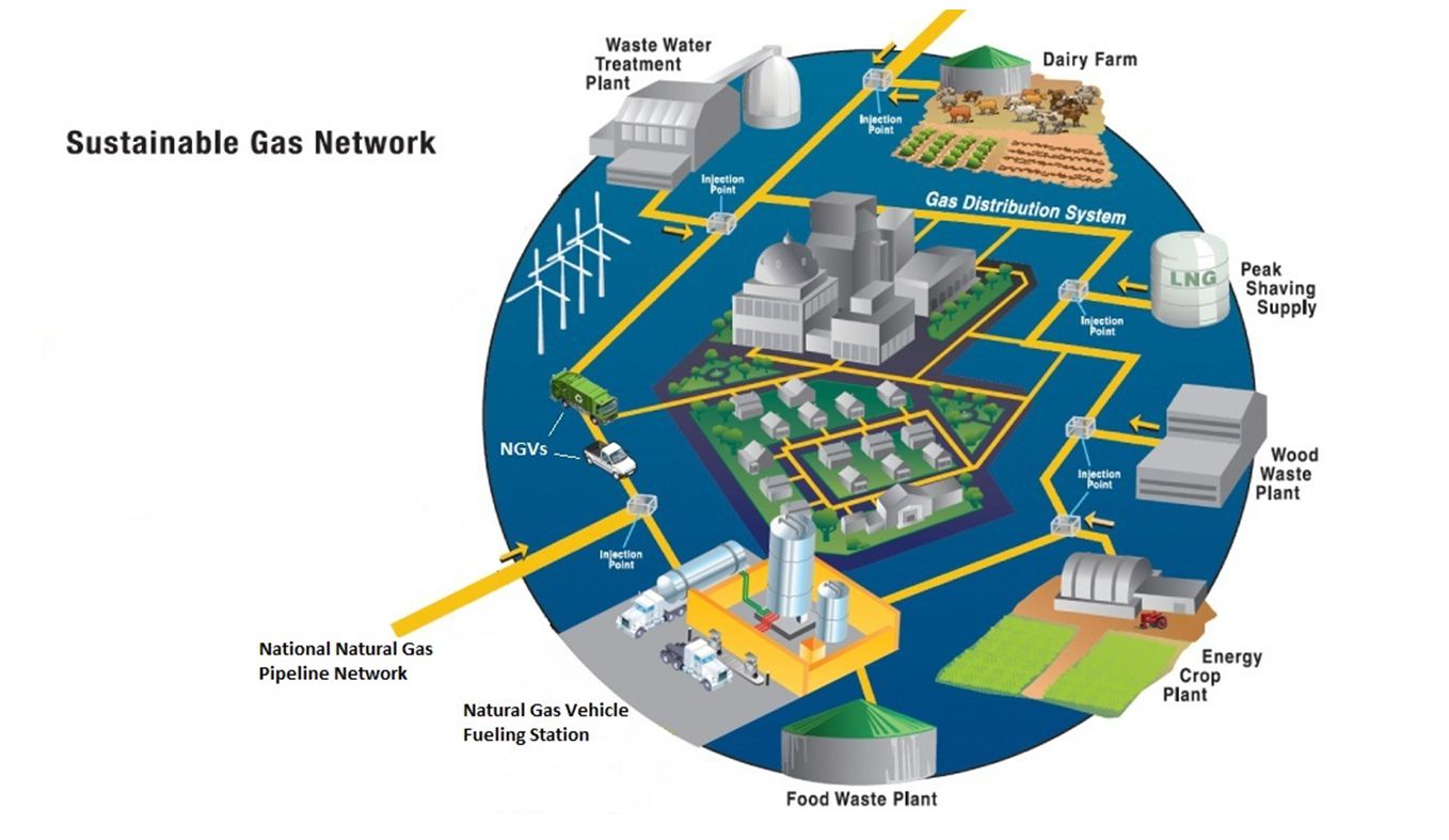 fuel for thought: Renewable Natural Gas: From Biogas to Gas Tank