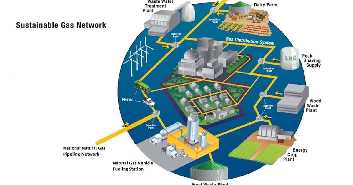 fuel for thought: Renewable Natural Gas: From Biogas to Gas Tank