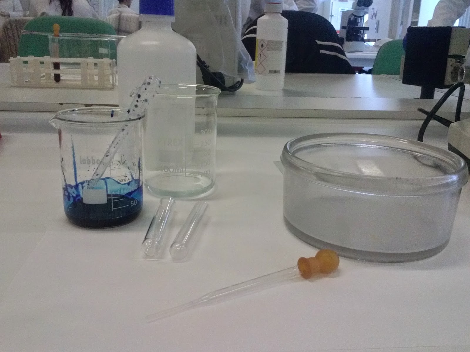 CUADERNO DE PRÁCTICAS: TINCION DE GIEMSA