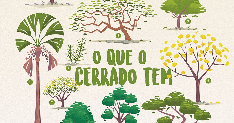 QUINTAIS IMORTAIS: O que o cerrado tem?