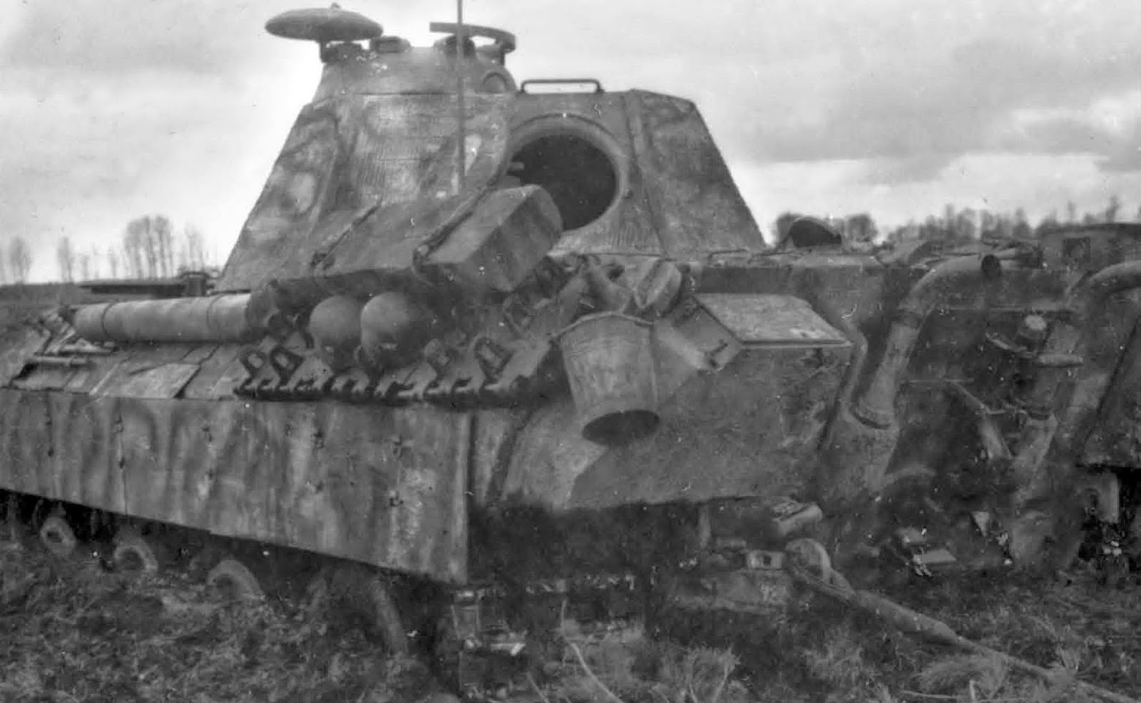 NASIONAL SOSIALIS INDONESIA: Foto 5. SS-Panzer-Division "Wiking"