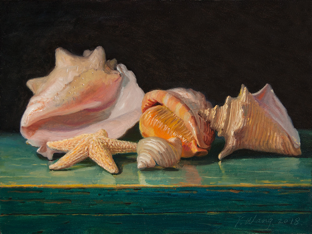 Wang Fine Art: seashells still life oil painting original contemporary ...