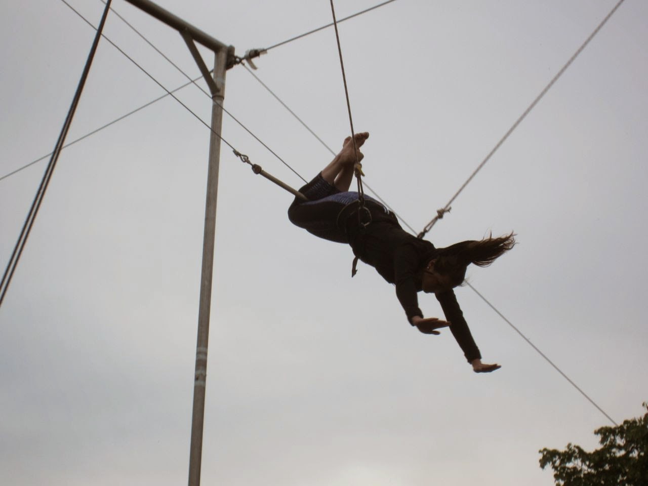 Flying Trapeze Lesson - The Runner Beans