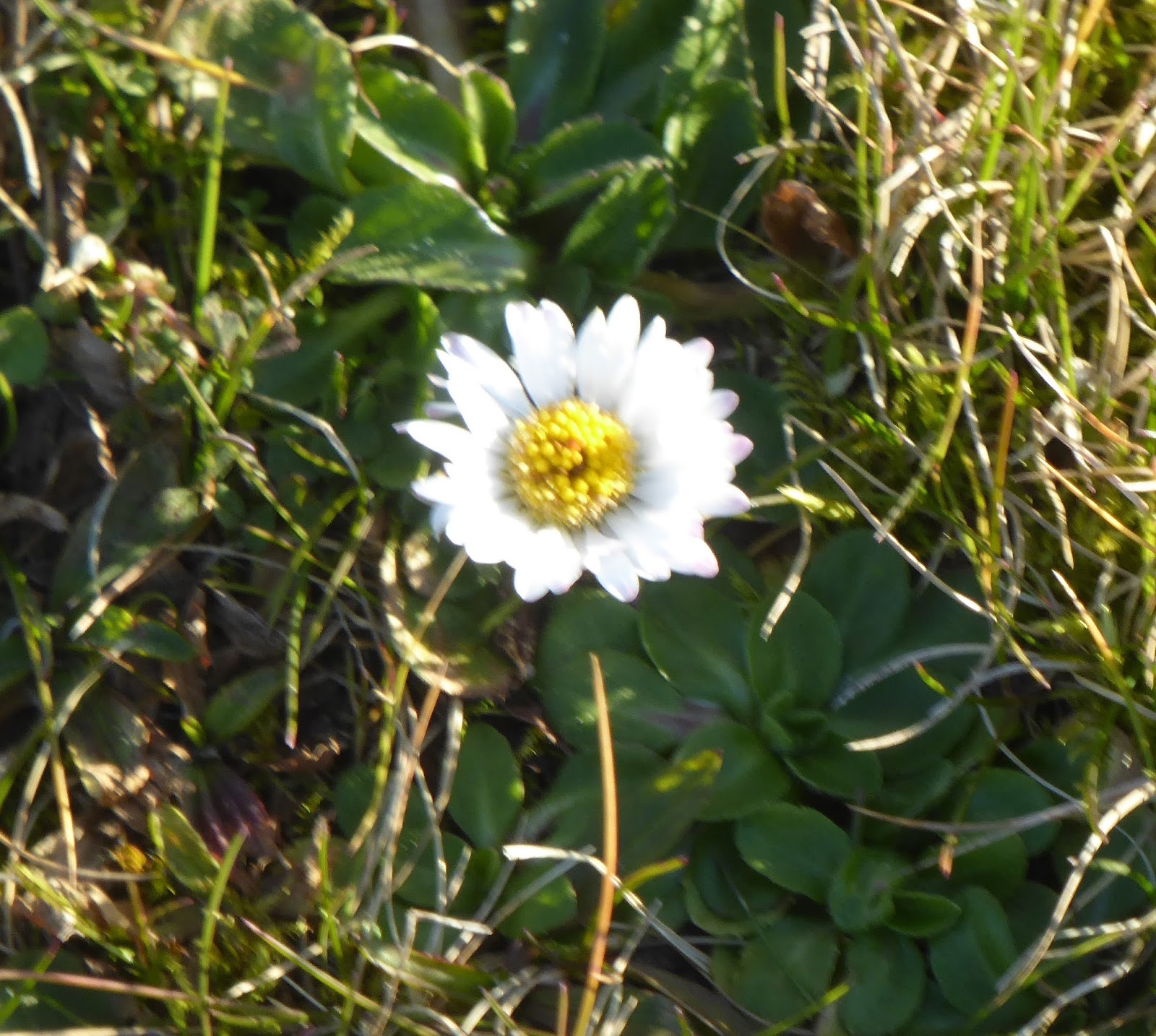 Wild and Wonderful: February 2018