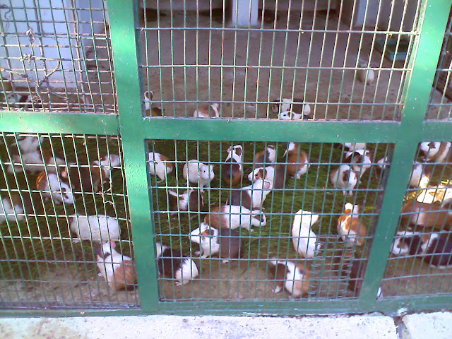 Tamilnadu Tourism: VOC Park and Zoo, Coimbatore