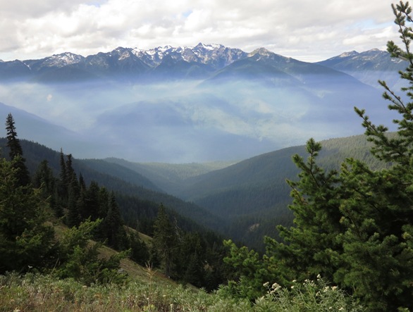 GOING ON ADVENTURES: The mountains of Olympic National Park