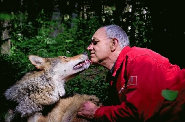 White Wolf : Russia's "Wolf Rescuer"is filmed for Animal Planet by ...