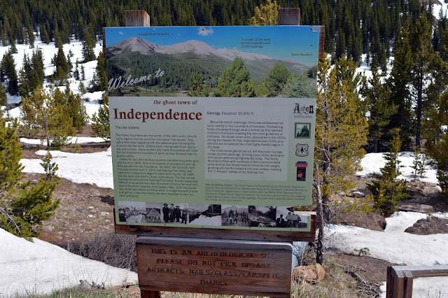 Mille Fiori Favoriti: Independence Pass, Colorado, Part One