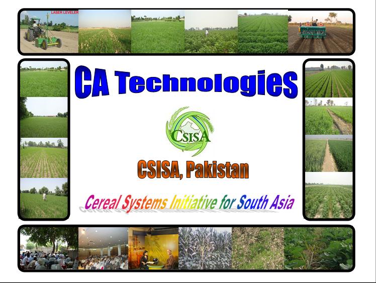 CSISA, PAKISTAN: Rice diseases and their control (Urdu)