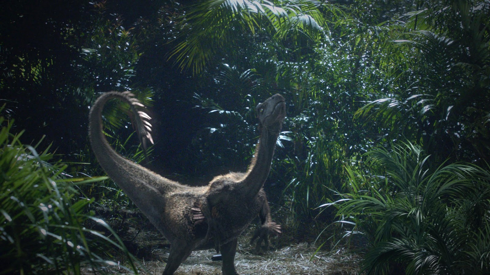 DVD News - Terra Nova Dinosaur Guide