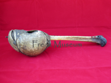 Freak Museum A Private Collection: Man is...